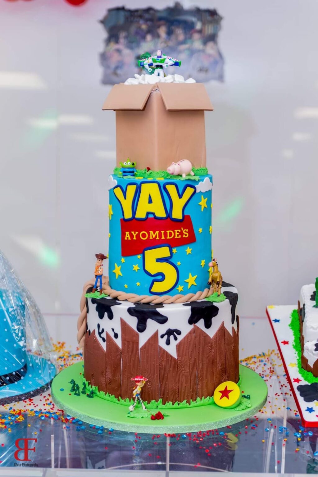 character themed cakes - Cakesbybims